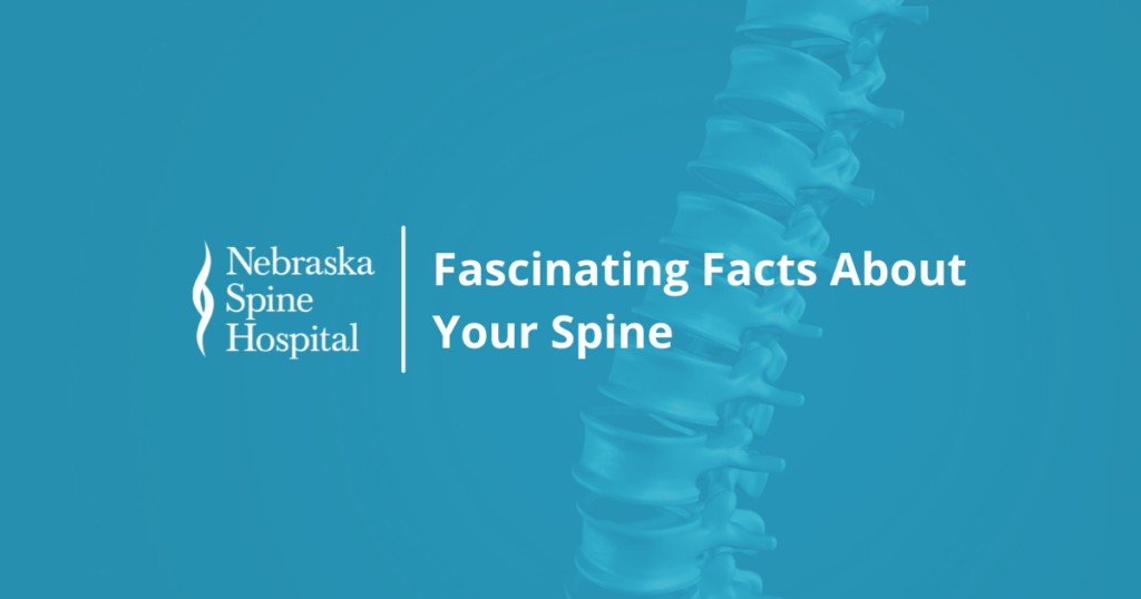 Fascinating Spine Facts - Nebraska Spine Hospital