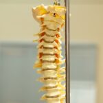 Glossary of Spinal Terms - Nebraska Spine Hospital